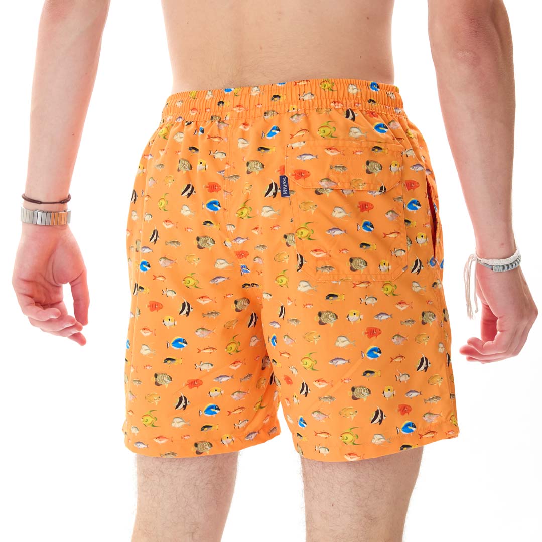 MS5137 - Parata di pesci arancio – McAlson